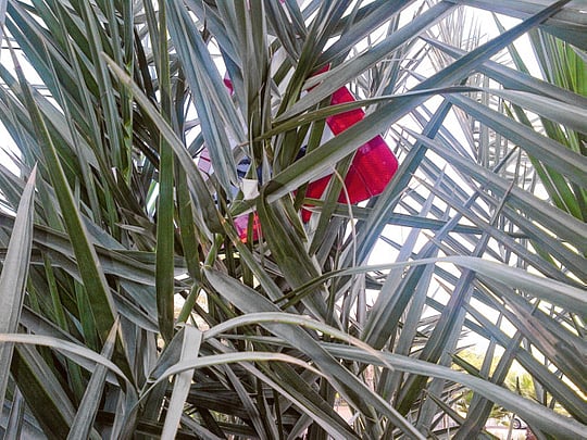 Obscured traffic signs and dark road in Dubai pose risk to drivers