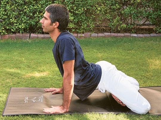 Be as supple as a snake