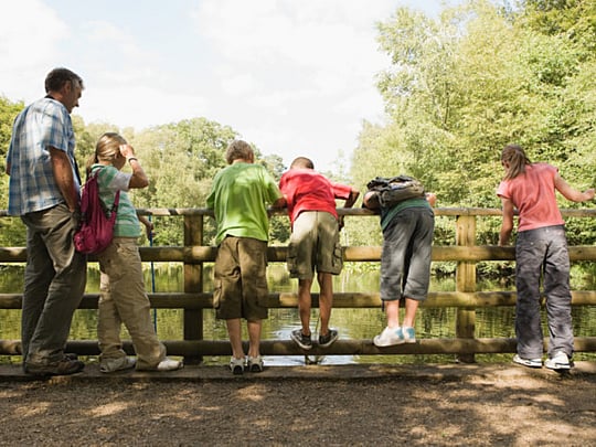 The Steiner education movement: Exploring alternative education