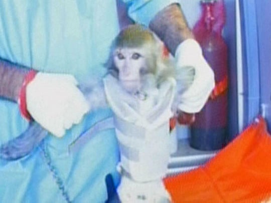 Iran sends monkey into space