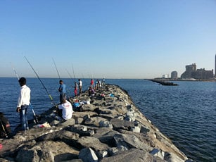 Fishless oceans within 40 years?