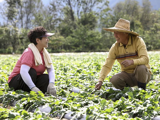 South Korean agriculture takes the organic route