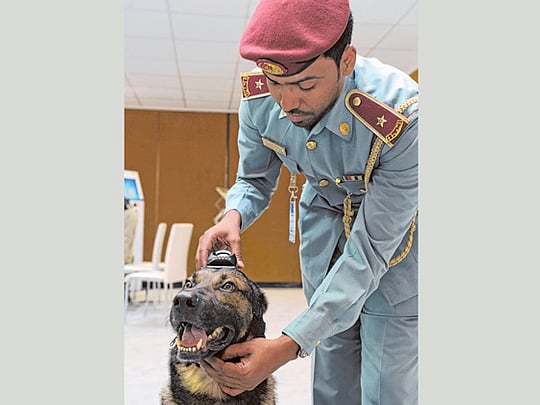 Tech dogs steal the show