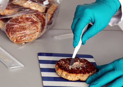 Is 'shmeat' the answer? In vitro meat could be the future of food