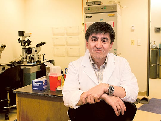 Stem cells: Breakthrough in cloned human embryos