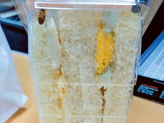 Man finds live cockroach in his sandwich