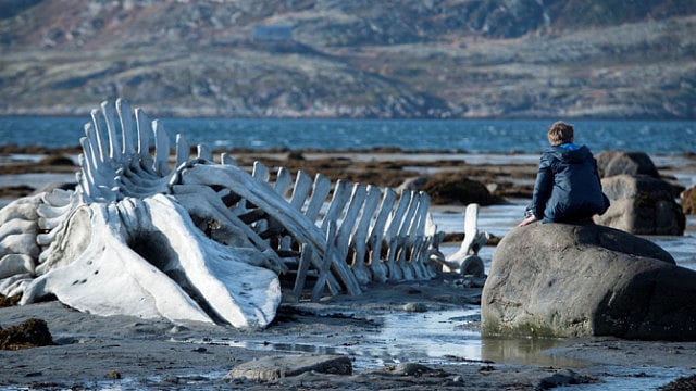 ‘Leviathan’ is best picture at London Film Festival