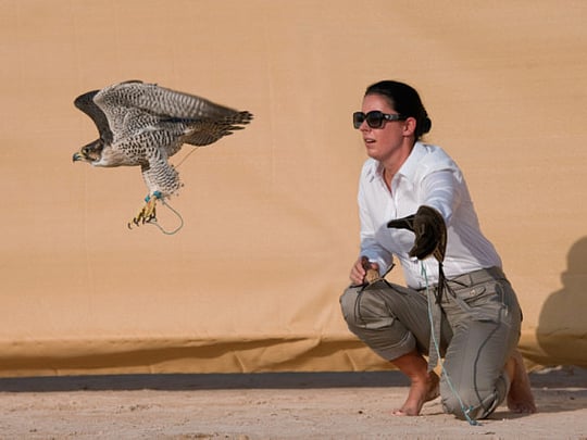A woman falconer’s love for the sport