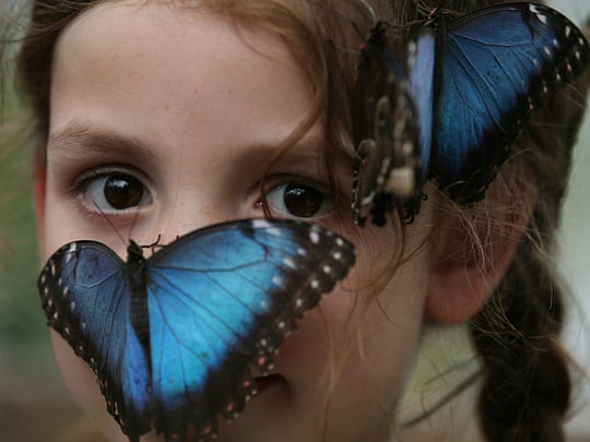 Scientists figure out how we look at faces to develop first impressions