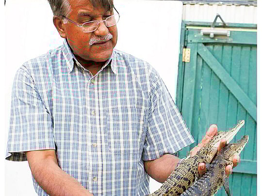 New tank mate for Larry the baby croc