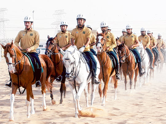 UAE: More than 270 people avail horse riding, livery, and other ...