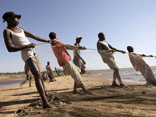 Malawi’s prized chambo fish faces extinction