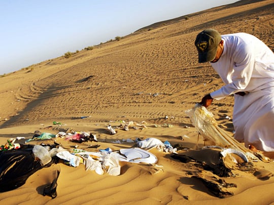 Desertification: How UAE lands are under threat