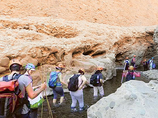 Volunteers ensure protection of wadi wildlife in Fujairah
