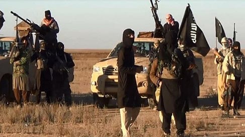 Daesh attacks claim over 800 lives abroad this year