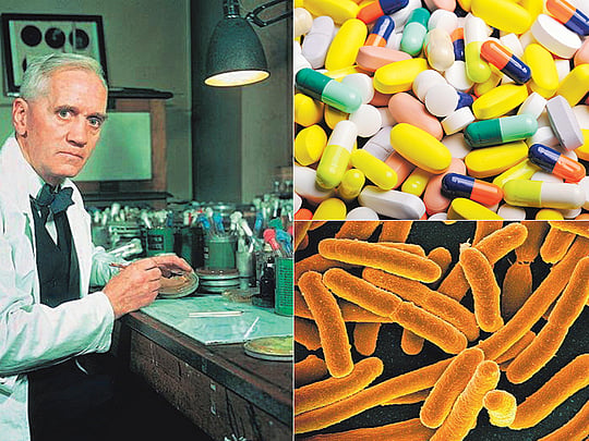 ‘Invincible’ bacteria threatens global epidemic