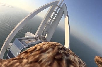 Darshan’s eagle-eye view sets world record