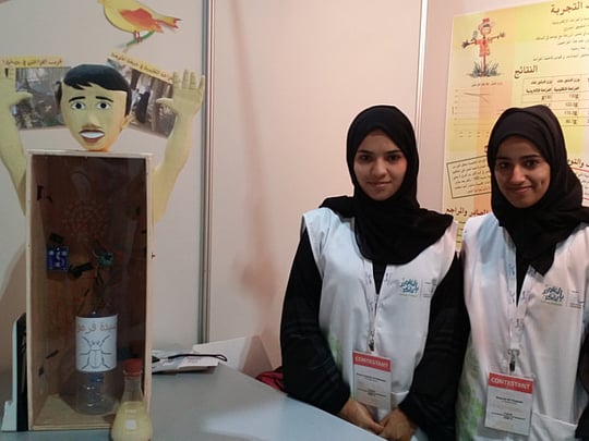 Students invent a smart electronic scarecrow