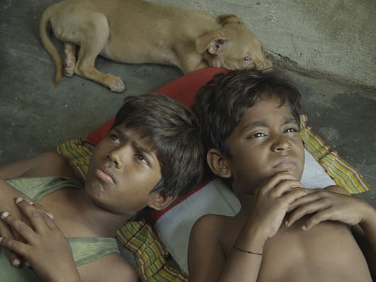 ‘Kaaka Muttai’ takes box office by storm