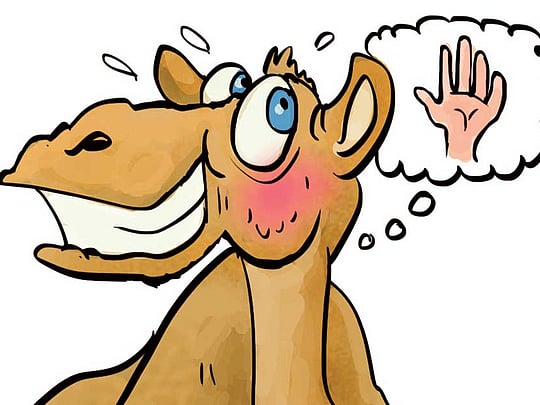 Patient’s finger reattached after camel bite