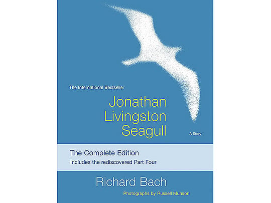 ‘Jonathan Livingston Seagull’: Teaching the flight to freedom