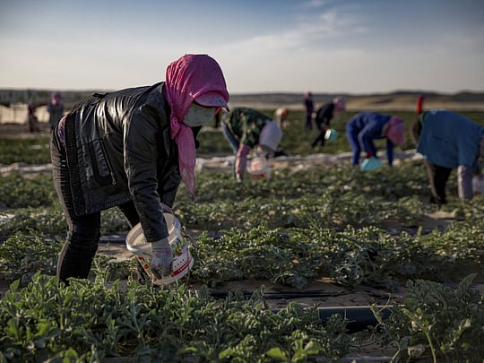 Resettling China’s ecological migrants