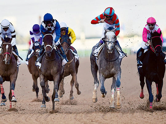 Colts hold their own as Japanese Lani takes Derby