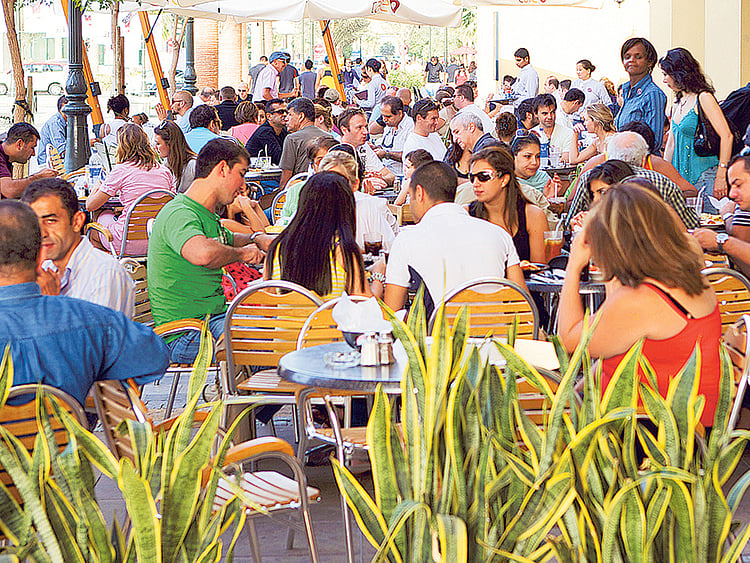 UAE Tops Arab Region in F&B Investment: 516 Projects, $22B Capex