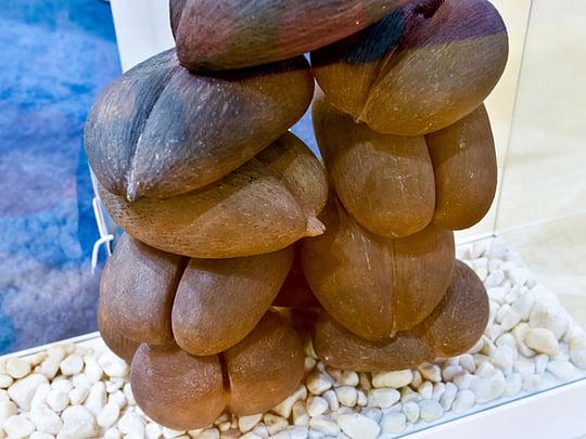 World’s largest nut shows up at ATM