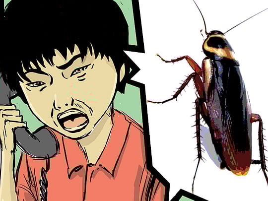 Help! There’s a cockroach