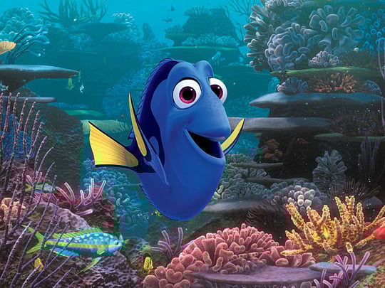 Florida project breeds ‘Finding Dory’ fish in captivity