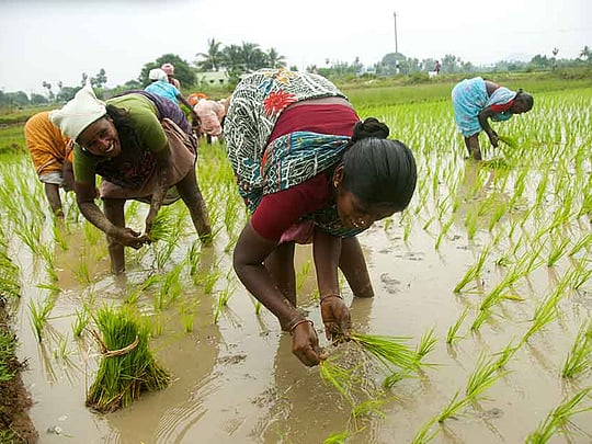 NRI Focus: Buying land in India has its risks and rewards
