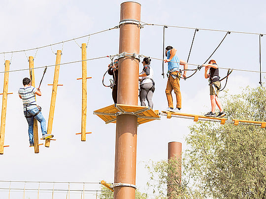 Staying Fit: Aventura Nature Adventure Park review