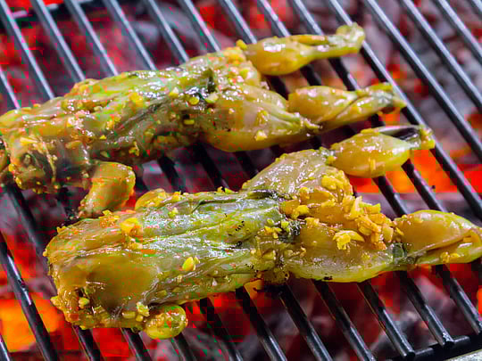 10 weird foods with absurd ingredients from across the globe