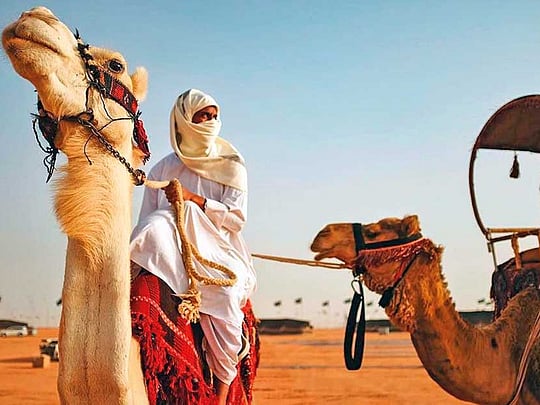Saudi Arabia: Over 40 camels barred from ‘beauty’ contest over Botox ...