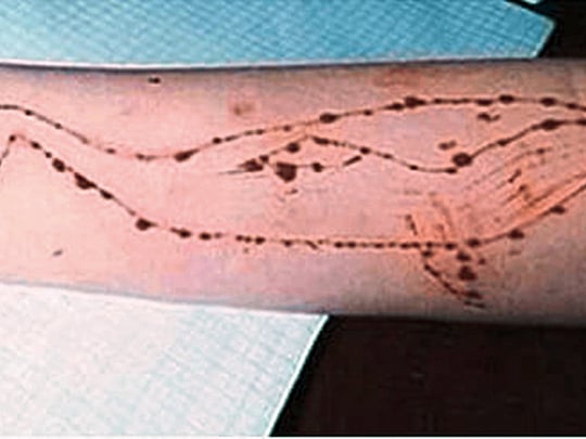 How is the Blue Whale game played?