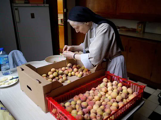 Apricot kernel: Cancer shield or deadly poison?