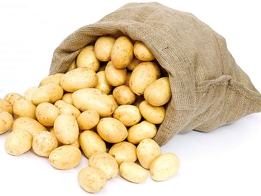 Christopher Columbus and the potato that changed the world