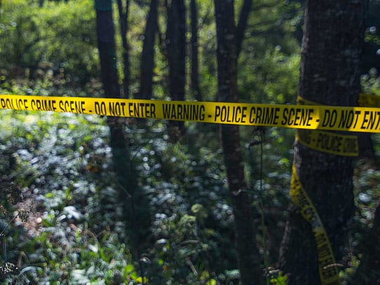 Mehrauli murder: Skull parts, more remains of Shraddha recovered from ...