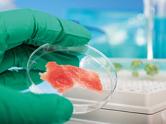 It’s meat... but not as you know it: Science gets its teeth into food