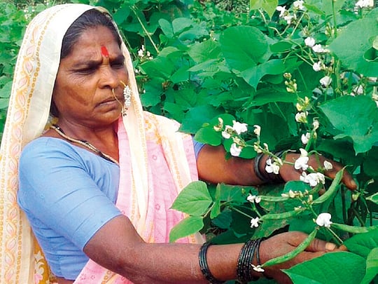 Woman’s push to save healthy indigenous seeds yields honours