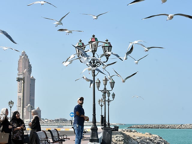 UAE weather: Heading out this weekend? Temperatures dip with fair skies ...