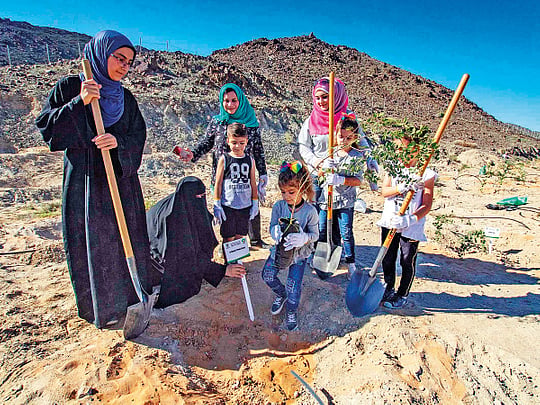 UAE volunteers plant 1,000 trees in Sidr nature reserve