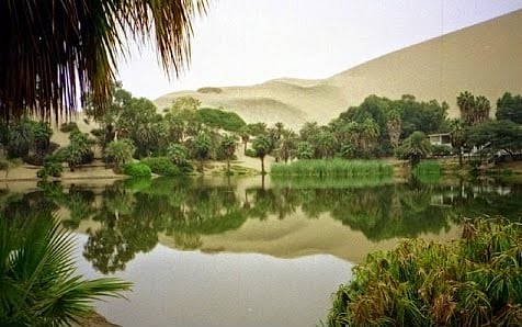 Saudi Arabia: Al Ahsa Oasis enters Guinness World Records