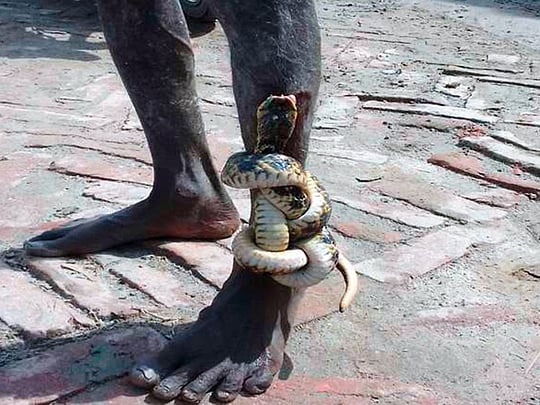 Man rushes to hospital with snake wrapped around leg
