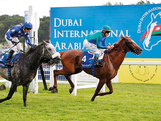 Horse racing industry in shock over Shadwell scale down