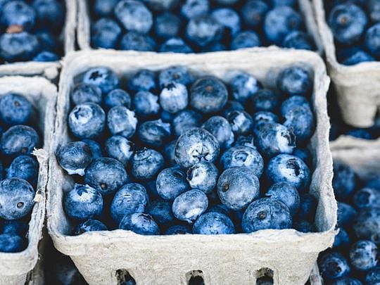 Researchers explain why blueberries are blue in colour