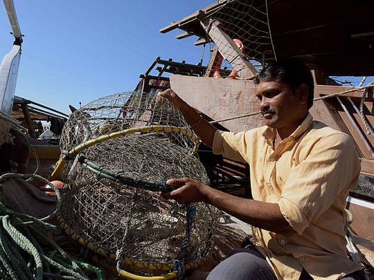 UAE bans shark, safi, sheri fishing from March 1