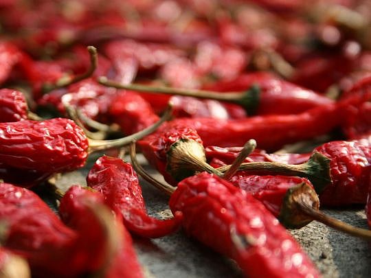 Chilli compound slows lung cancer progression: Study