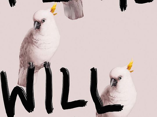 What’s On the Bookshelf: Plume by Will Wiles